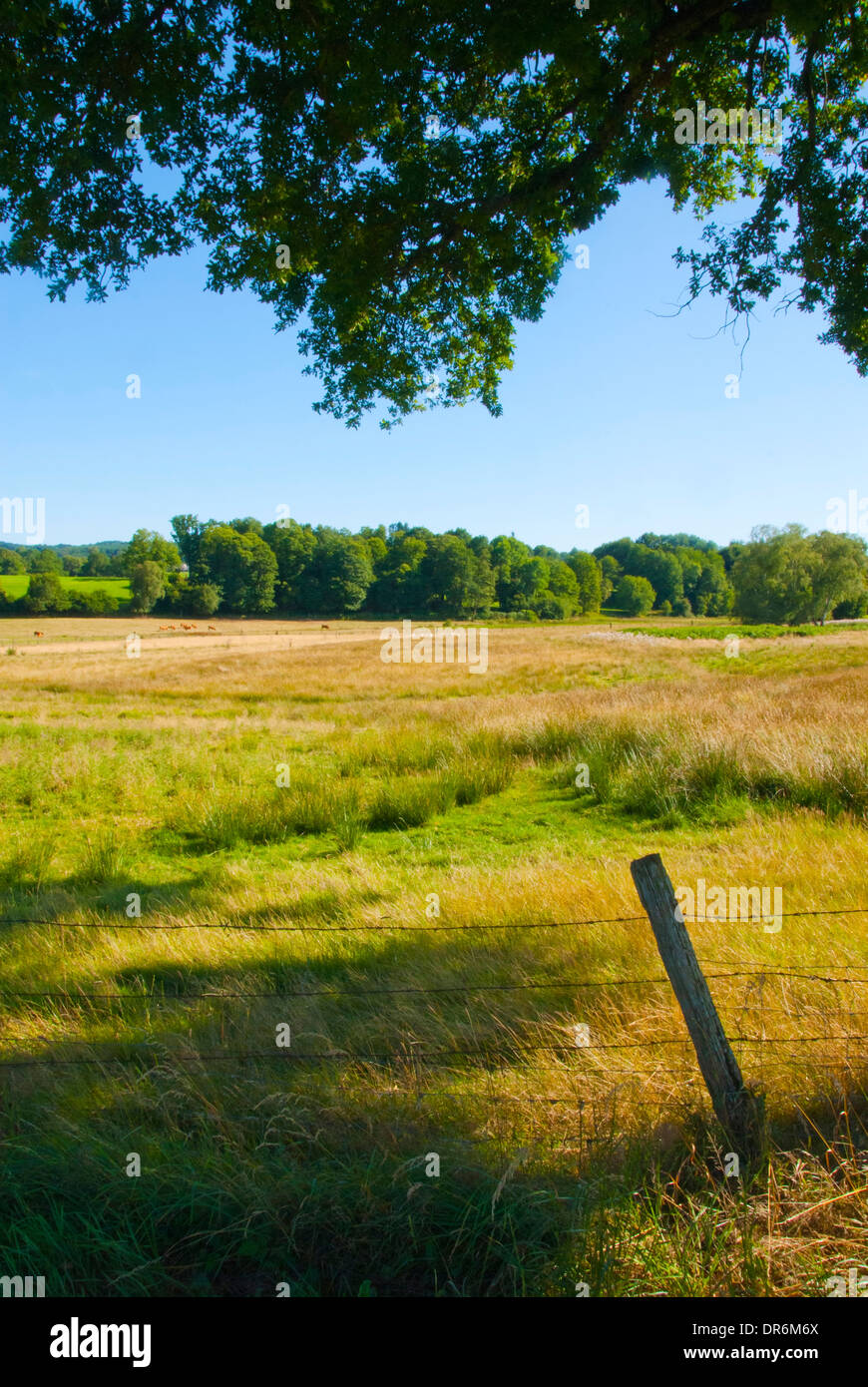 Pasture land in France Stock Photo - Alamy