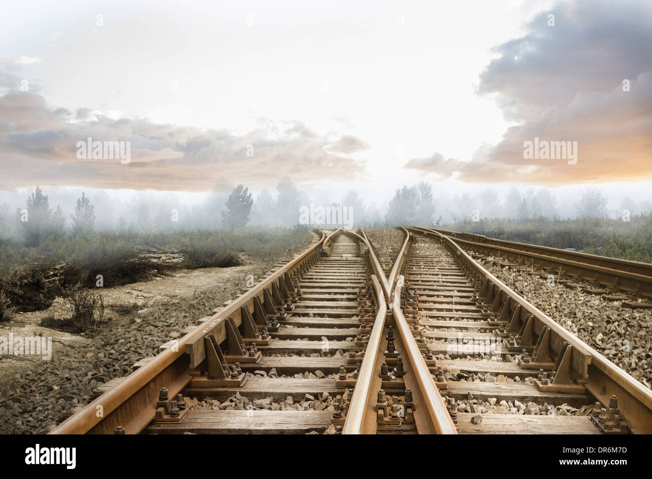 Forest railway tracks hi-res stock photography and images - Alamy