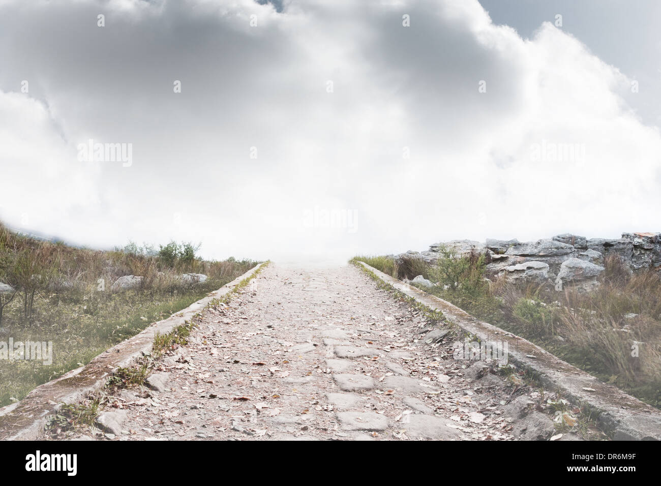 Leading into the horizon hi-res stock photography and images - Alamy