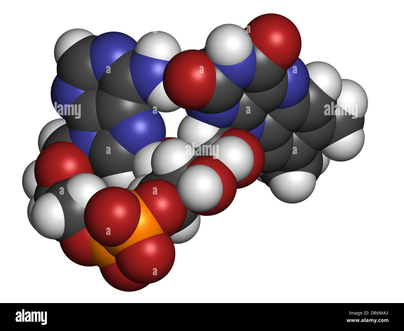 Flavin adenine hi-res stock photography and images - Alamy