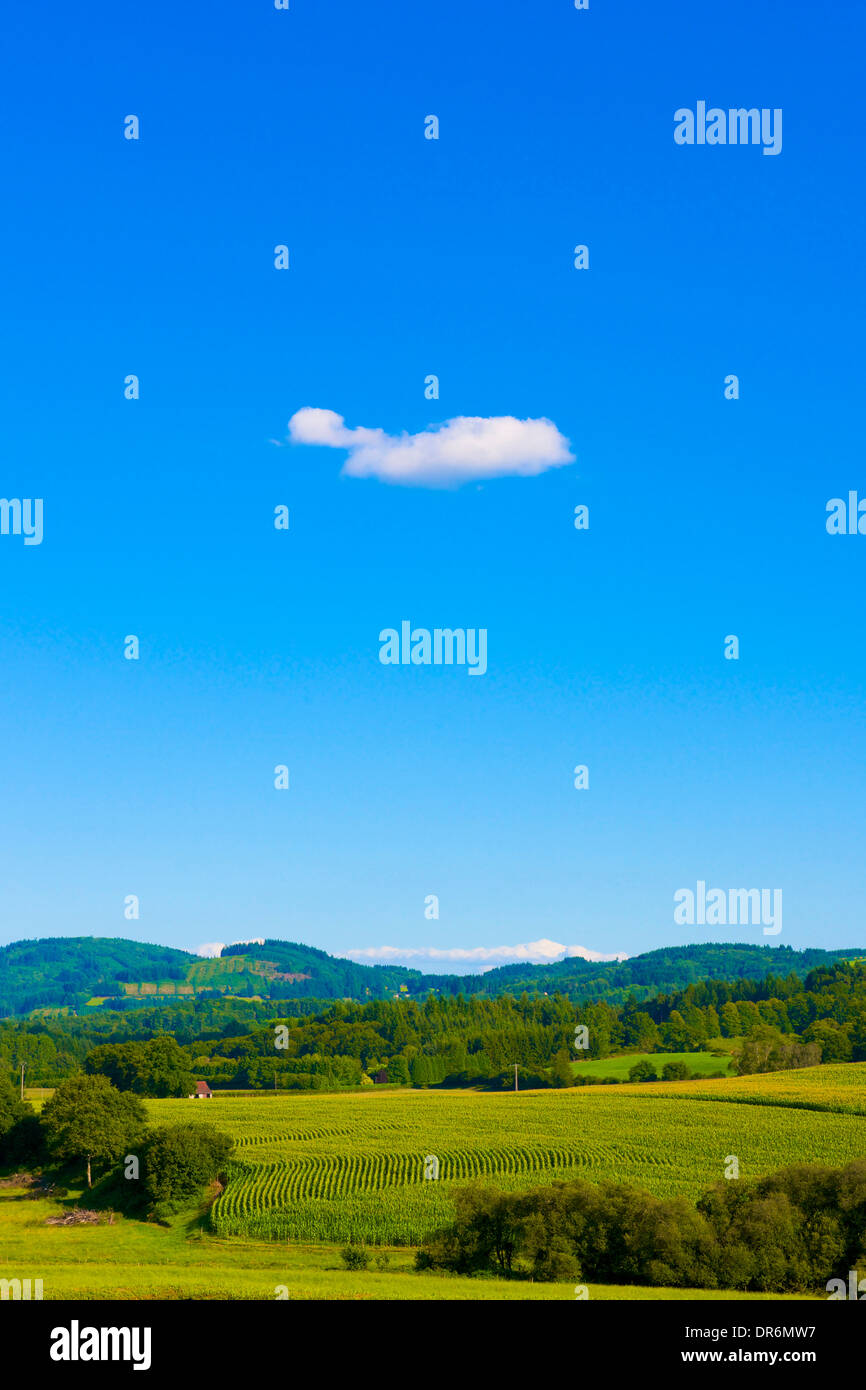 Limousin countryside hi-res stock photography and images - Alamy