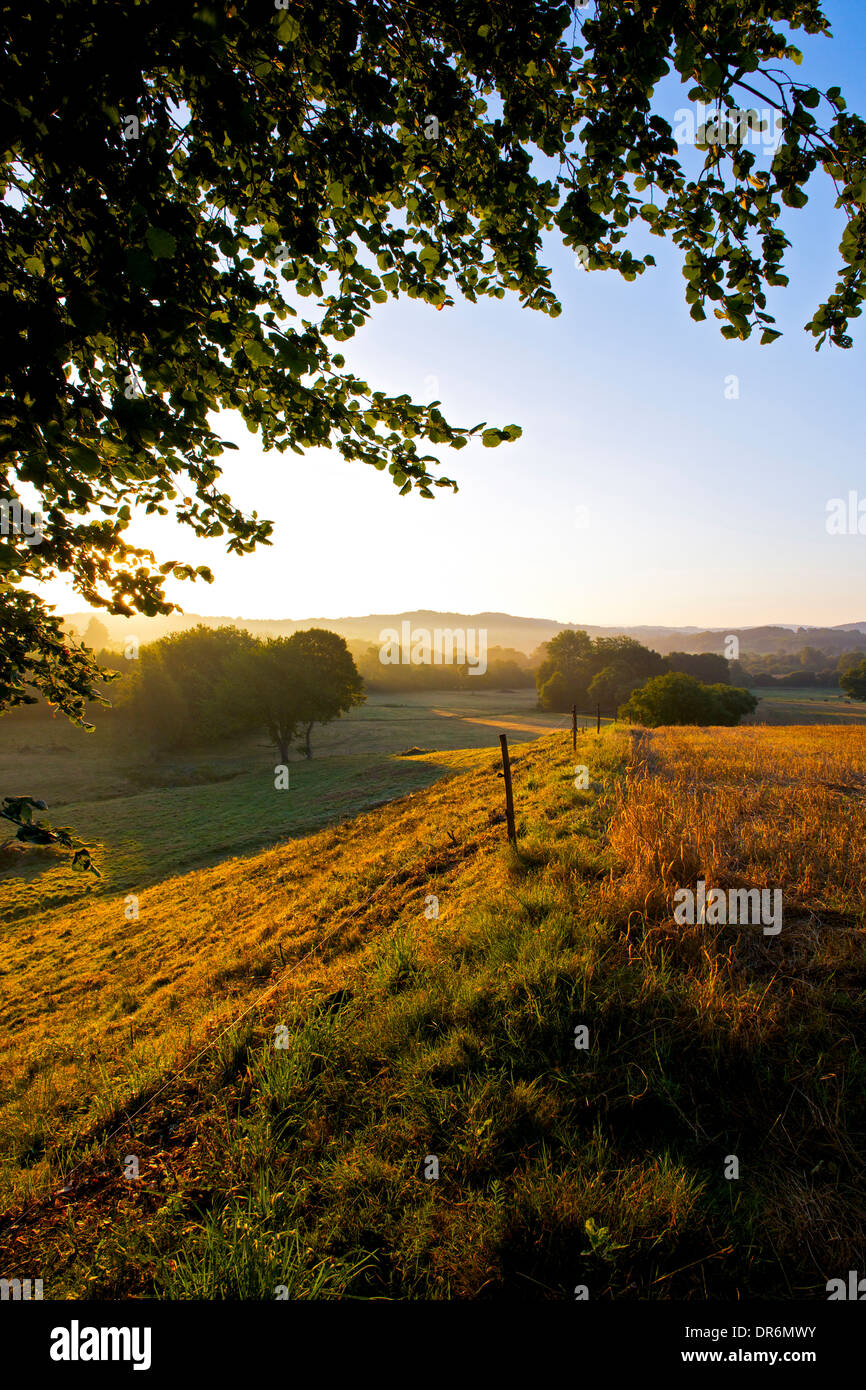 Limousin region in France Stock Photo - Alamy