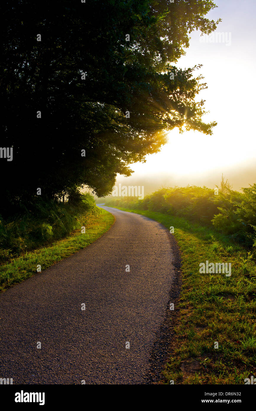 Limousin Region High Resolution Stock Photography and Images - Alamy