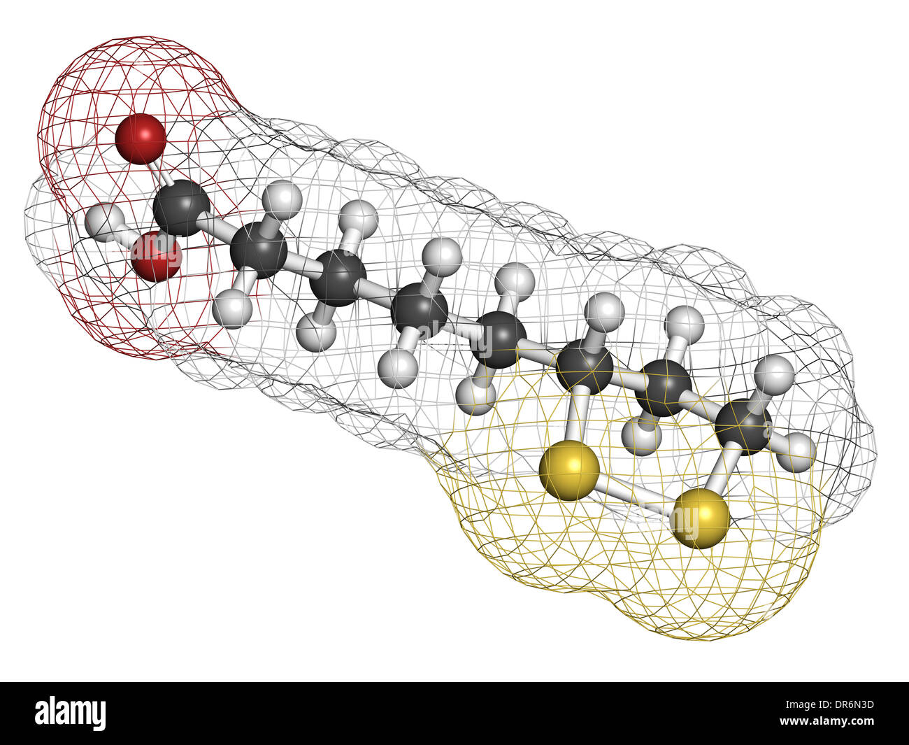 Lipoic acid enzyme cofactor molecule. Present in many nutritional ...