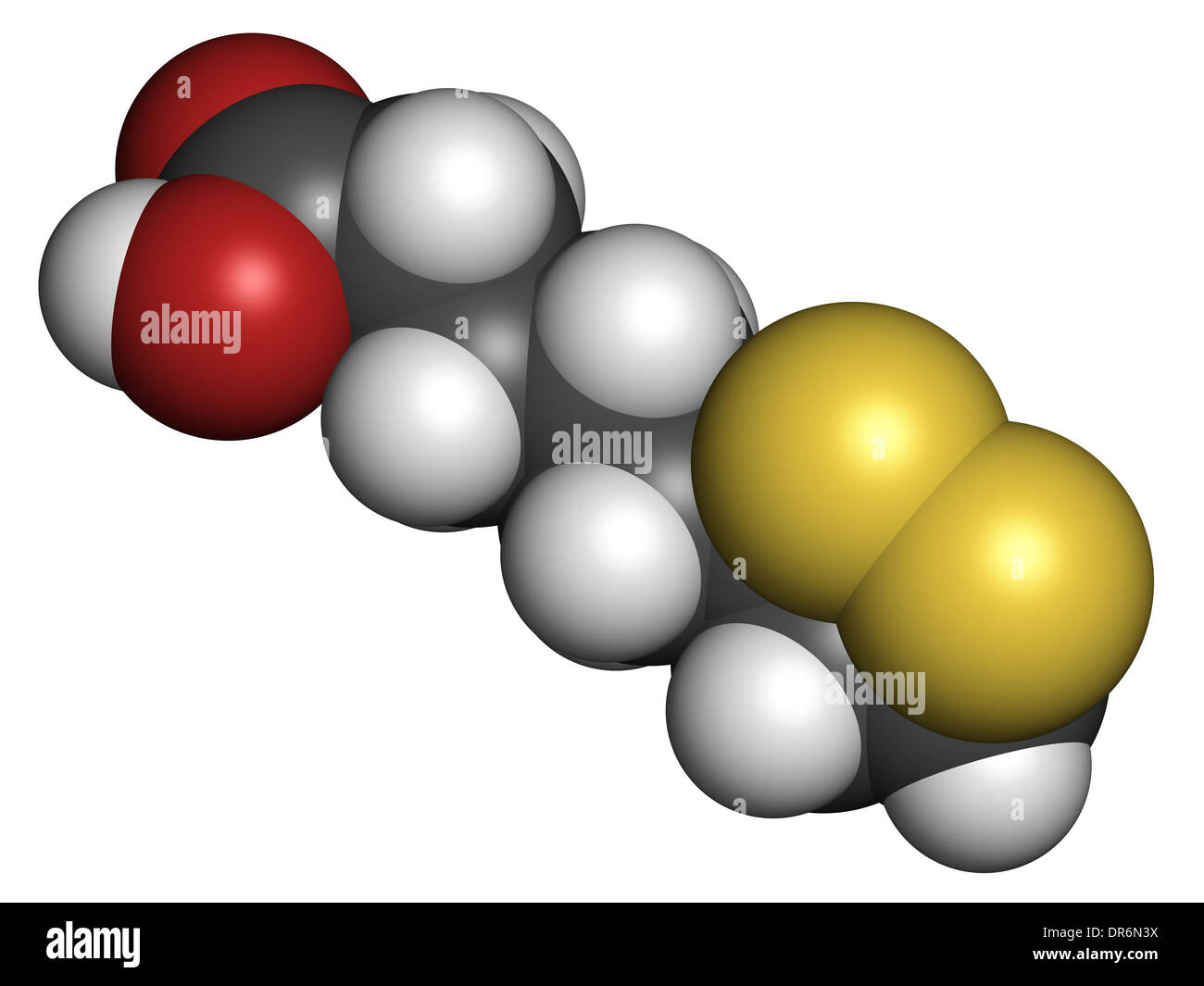 Lipoic acid enzyme cofactor molecule. Present in many nutritional ...