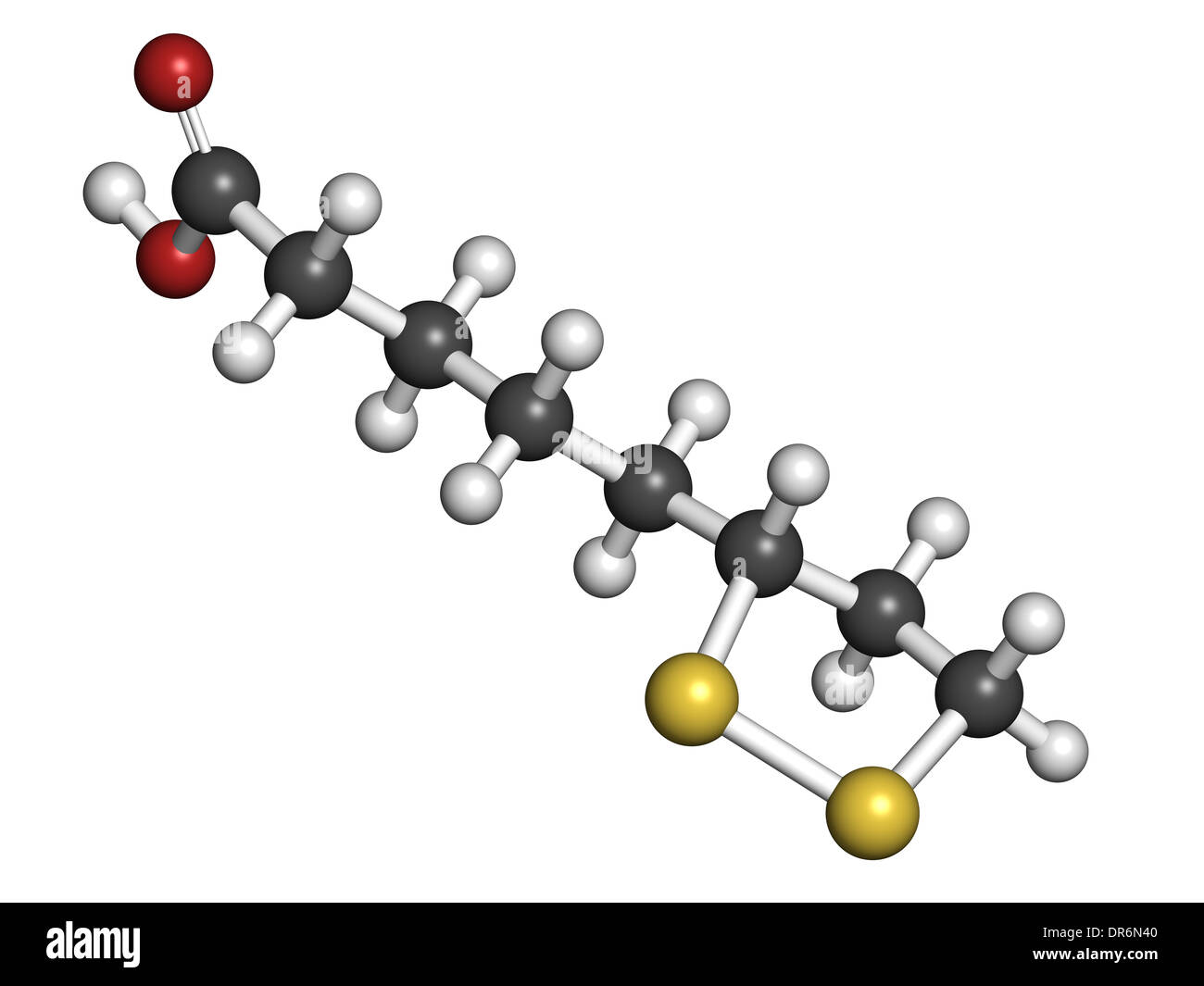 Lipoic acid enzyme cofactor molecule. Present in many nutritional ...
