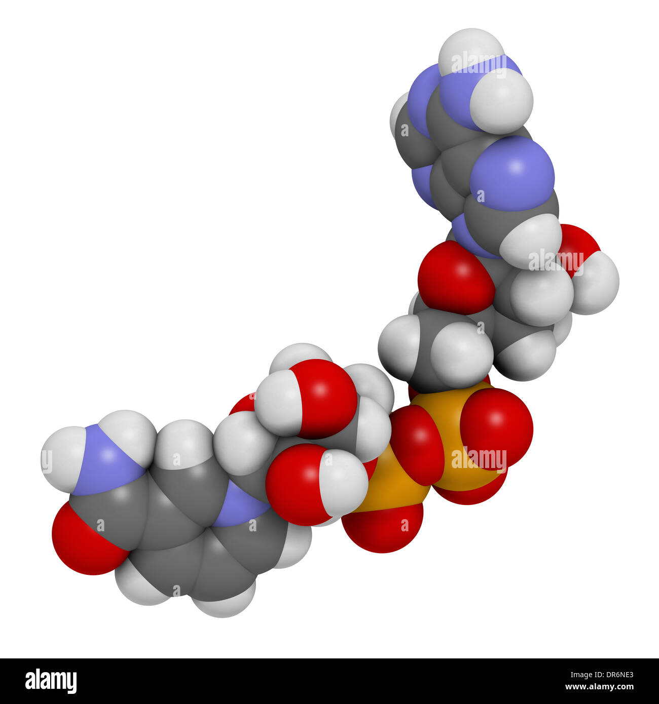 Nadh Molecule 3d NADH Disodium Salt (Disodium NADH) | Reduced Coenzyme