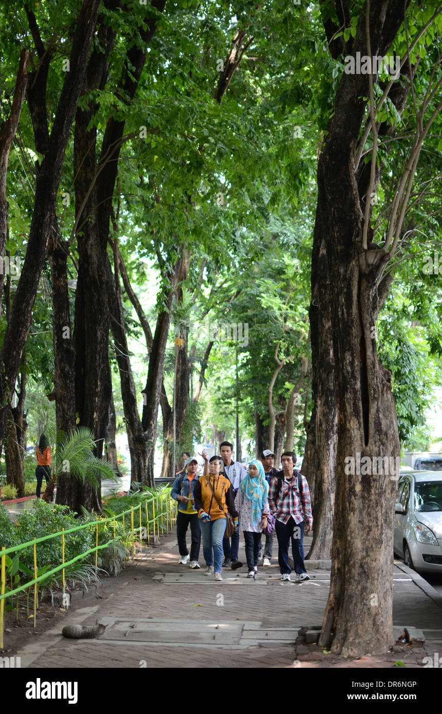 Shade from trees hi-res stock photography and images - Alamy