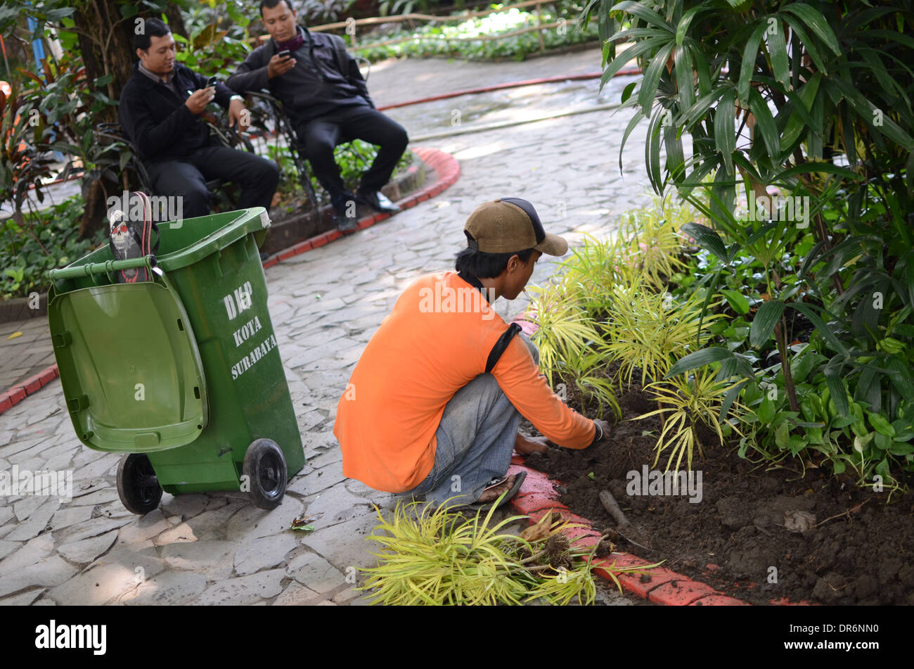 Cleaning park hi-res stock photography and images - Alamy
