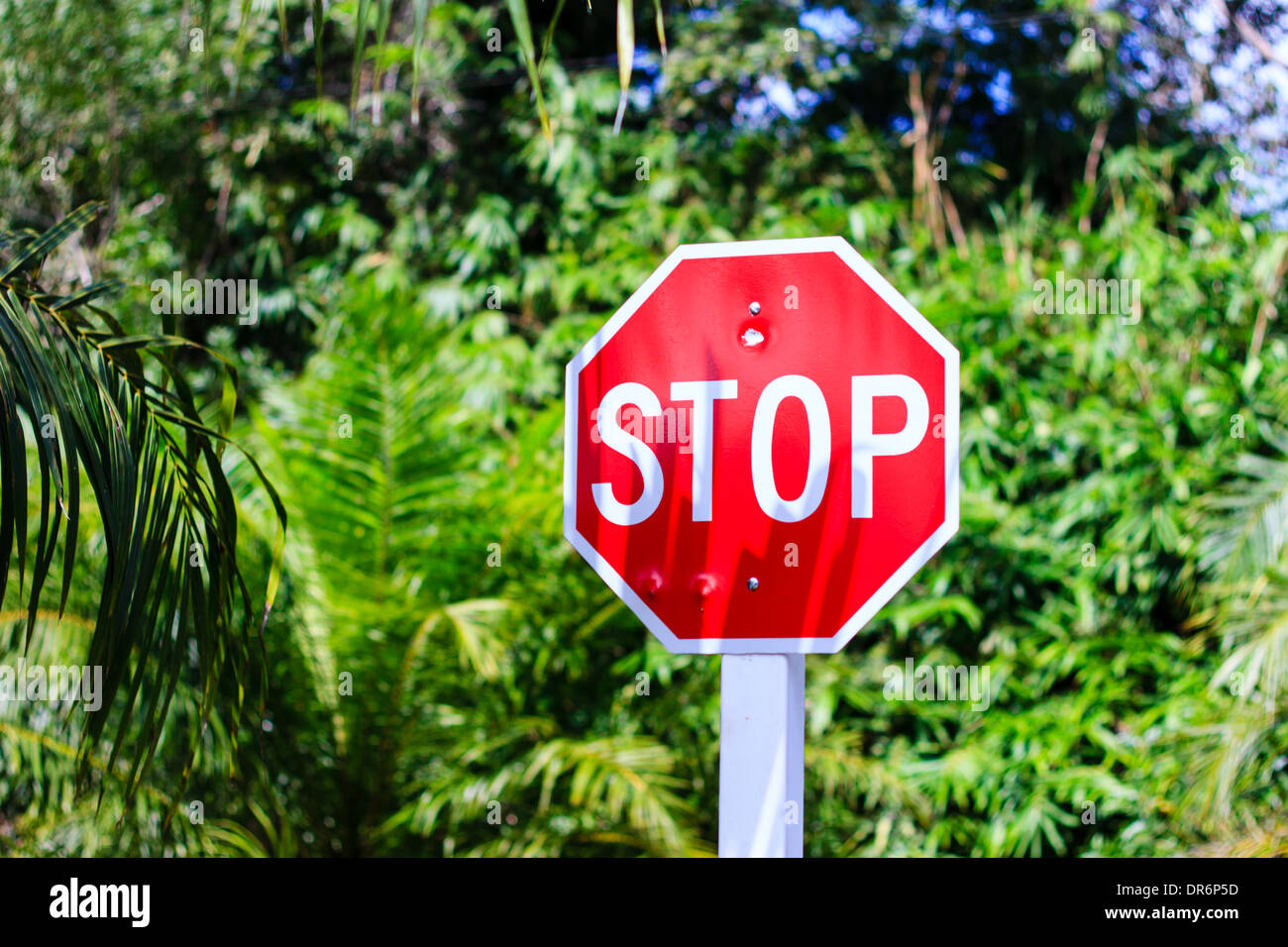 A red stop sign with trees in the background Stock Photo - Alamy