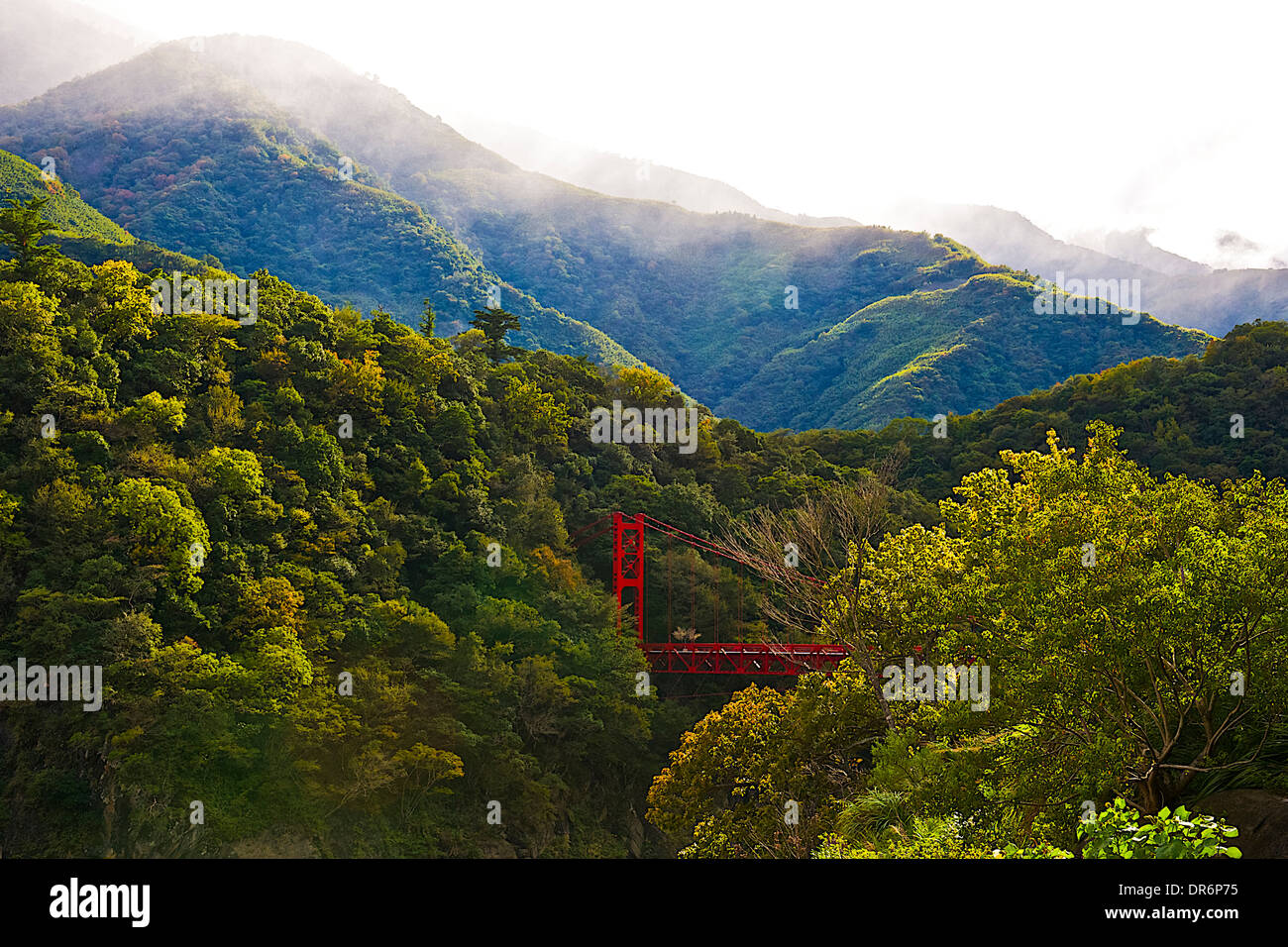 Red bridge among trees Stock Photo - Alamy