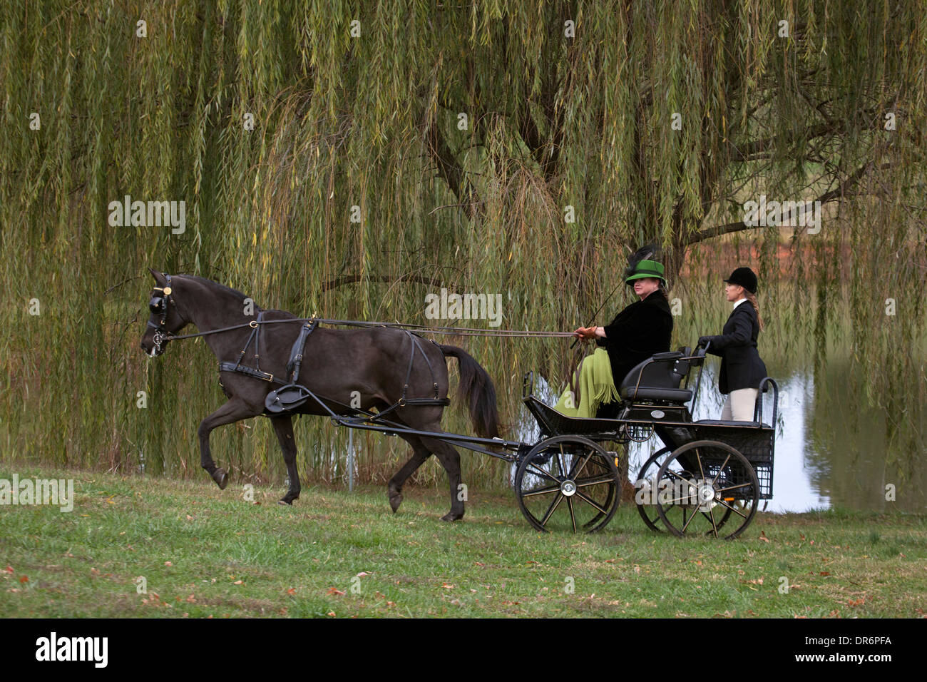 Woman Horse Carriage Stock Photos & Woman Horse Carriage Stock Images ...