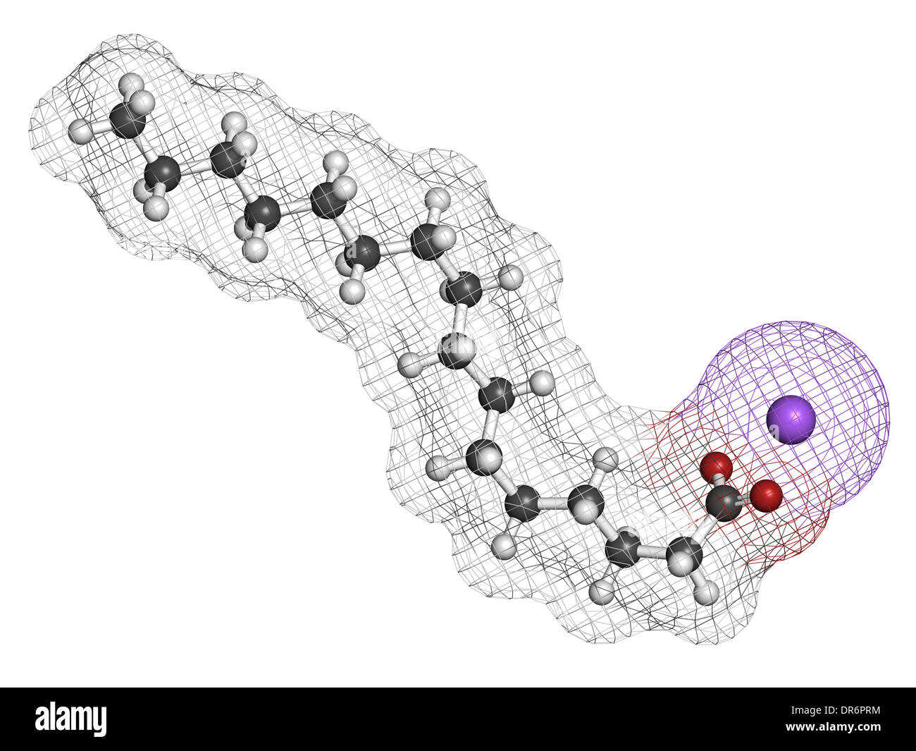 Sodium palmitate soap molecule. Prepared from palm oil by ...