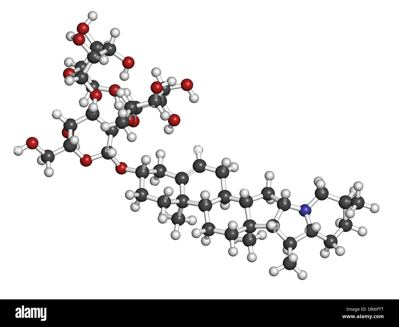 Solanin Stock Photos & Solanin Stock Images - Alamy