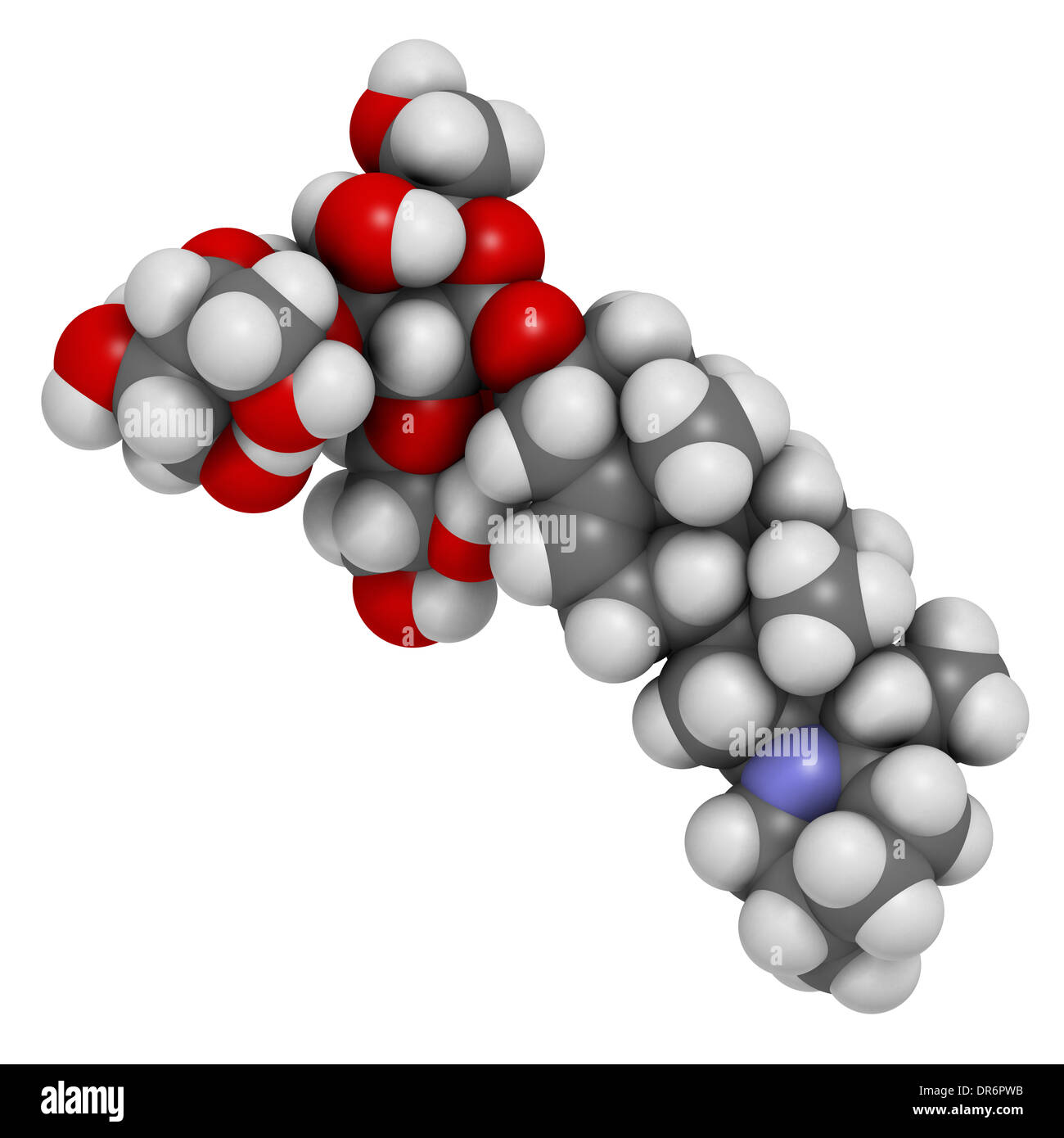 Solanin Stock Photos & Solanin Stock Images - Alamy