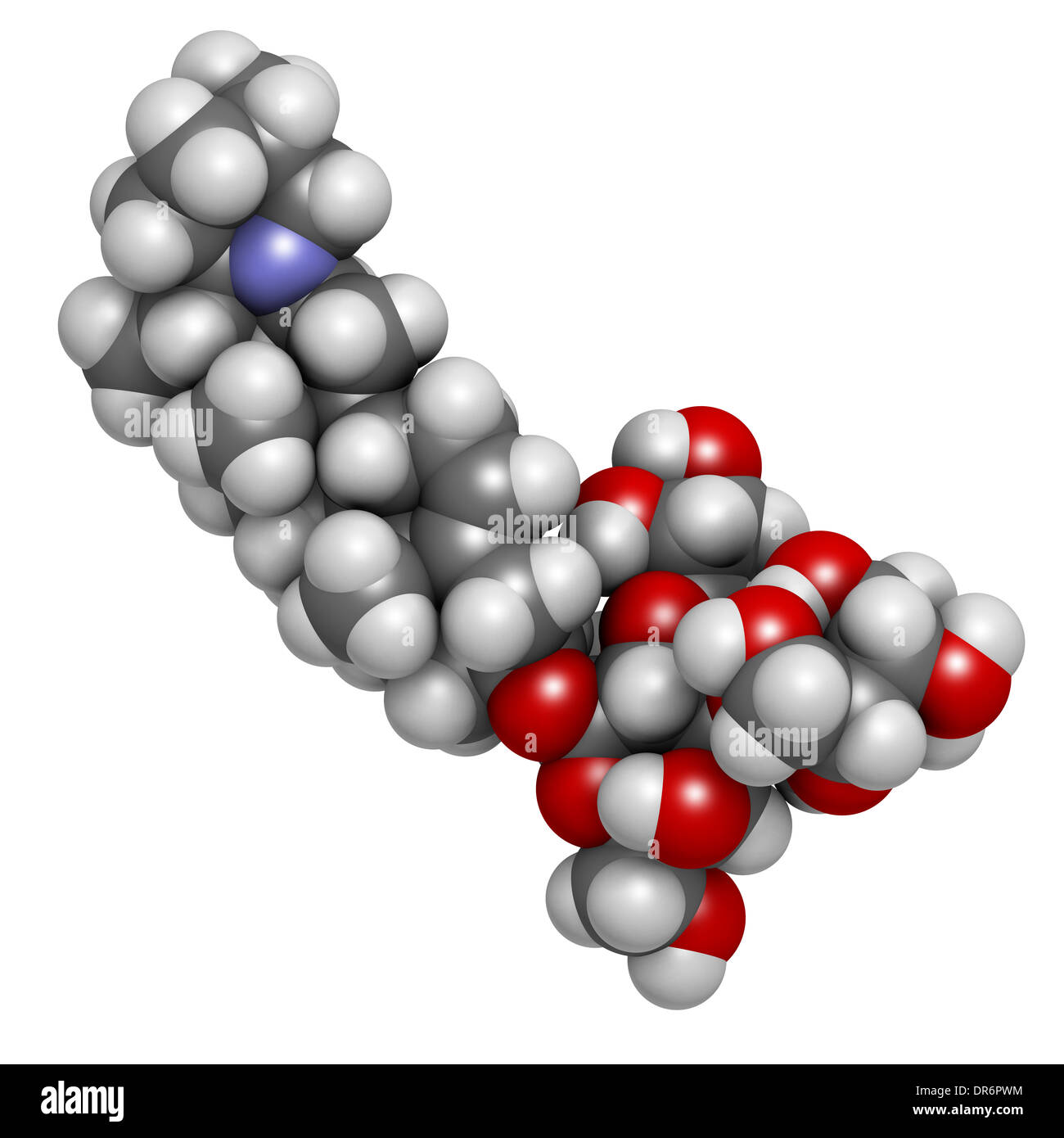Solanine nightshade poison molecule. Present in potatoes, especially in ...
