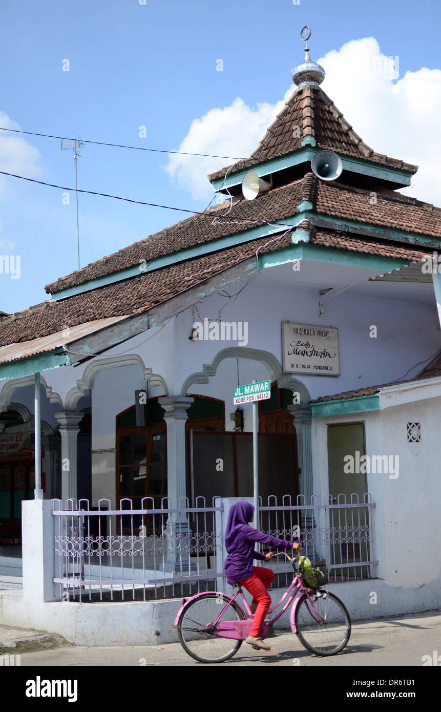 Pare view hi-res stock photography and images - Alamy