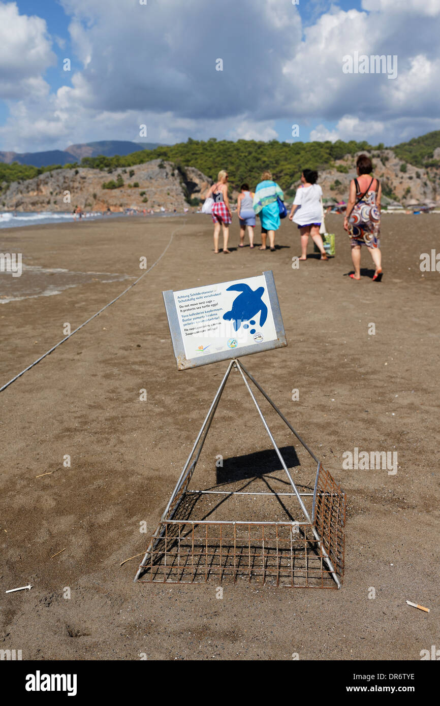 Turkey, Dalyan, protective cage for eggs of the loggerhead turtle ...