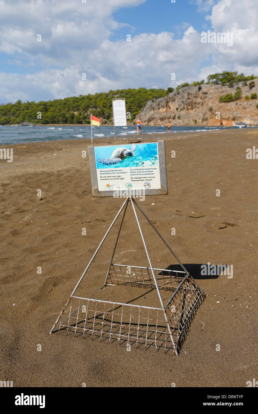 Turkey, Dalyan, protective cage for eggs of the loggerhead turtle ...