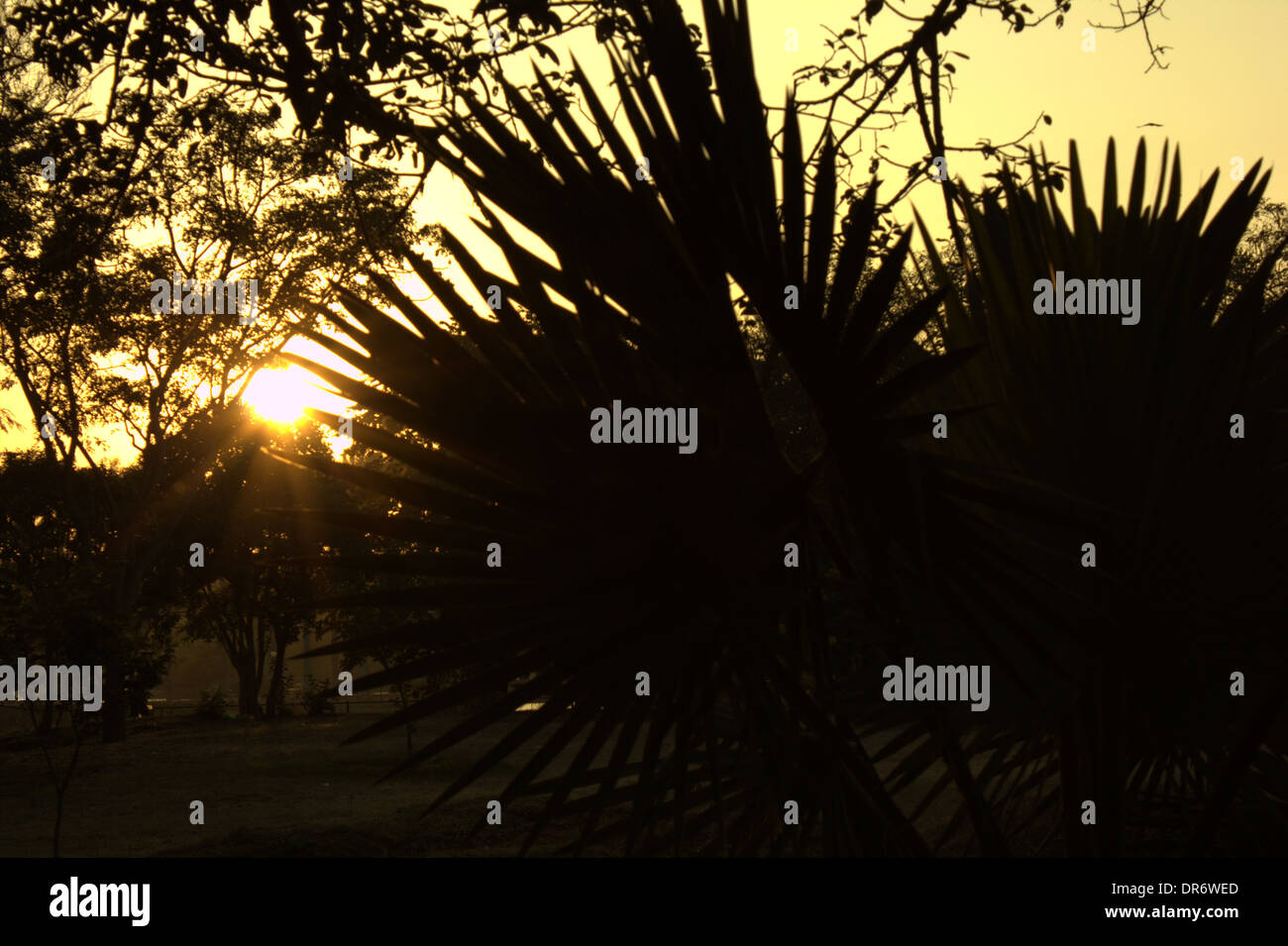 Sunset with rays Stock Photo - Alamy