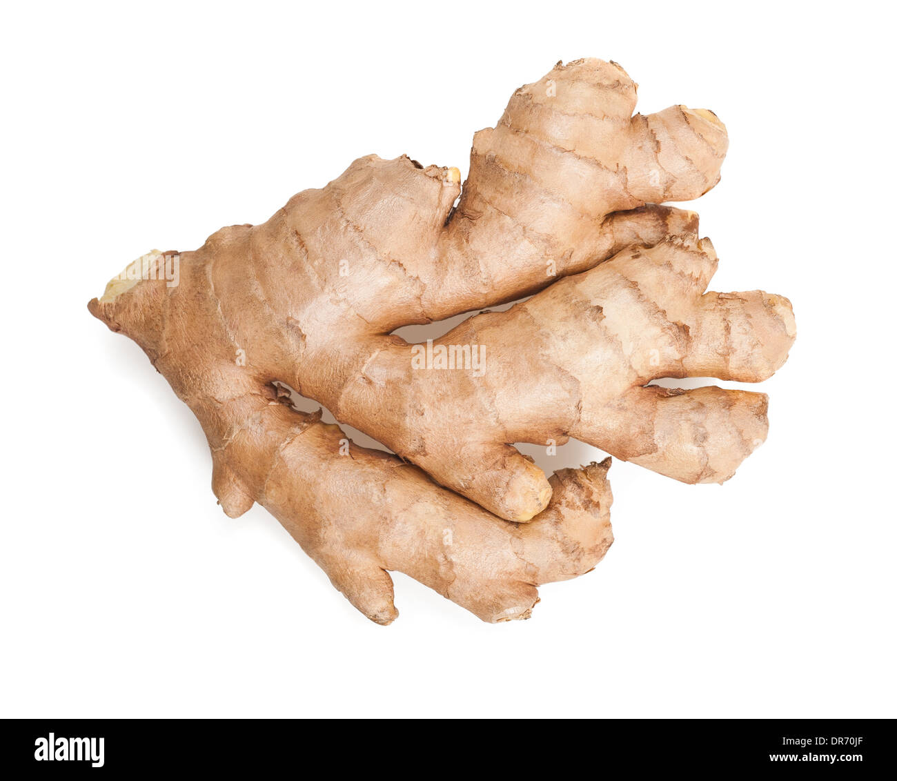 Ginger hi-res stock photography and images - Alamy