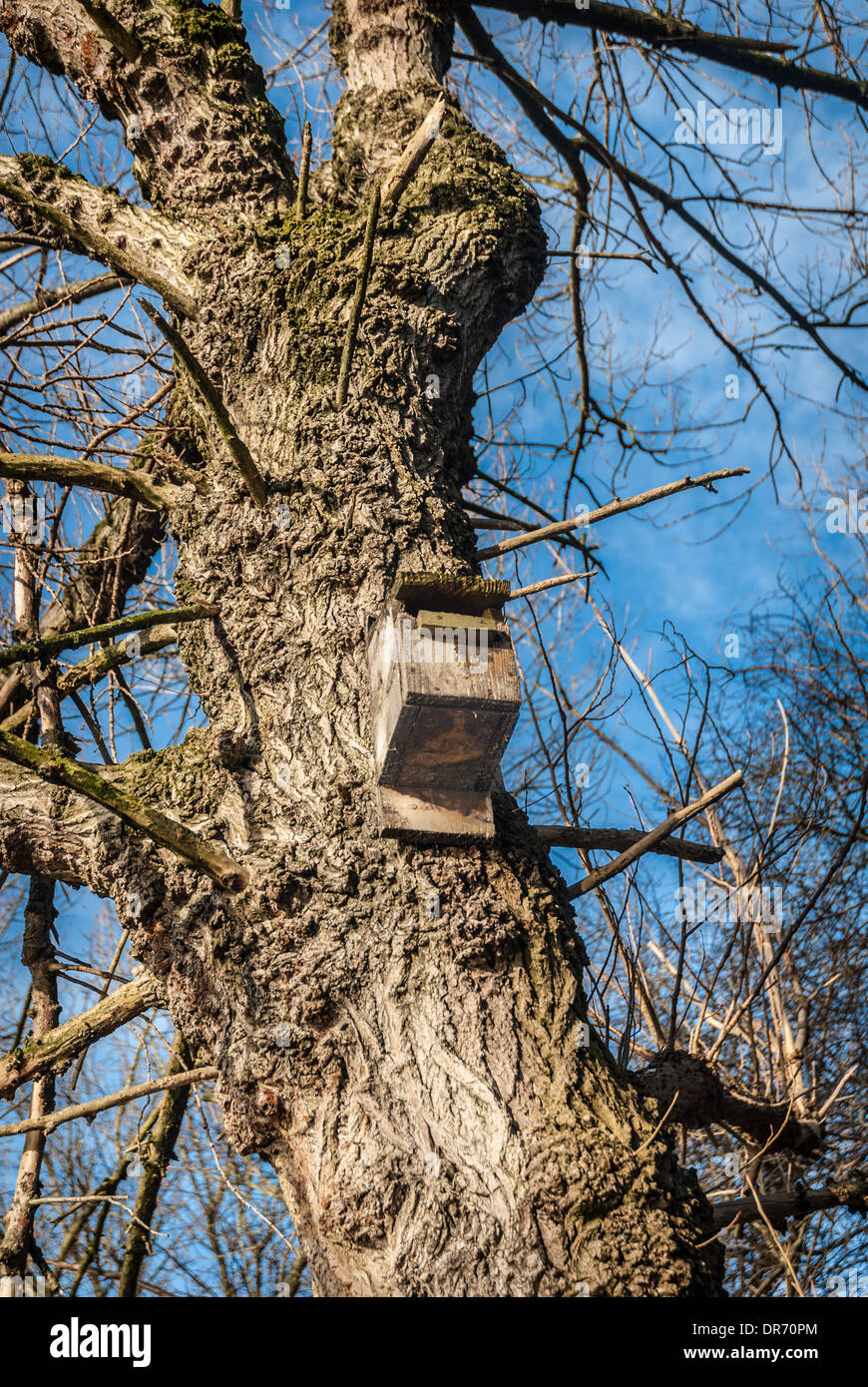 Bird nesting boxes hi-res stock photography and images - Alamy
