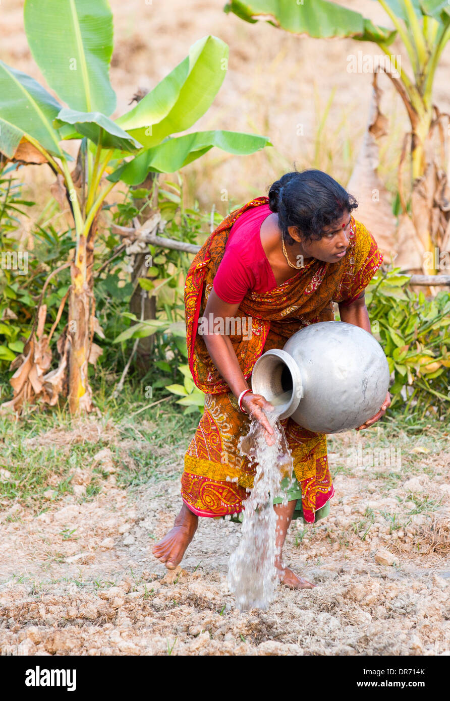 A Subsistence farmer watering her vegetable garden by hand, in the ...