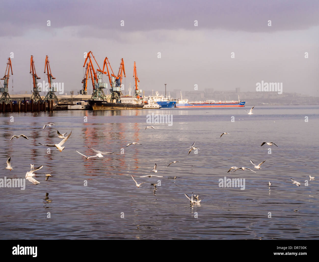 Marine port hi-res stock photography and images - Alamy