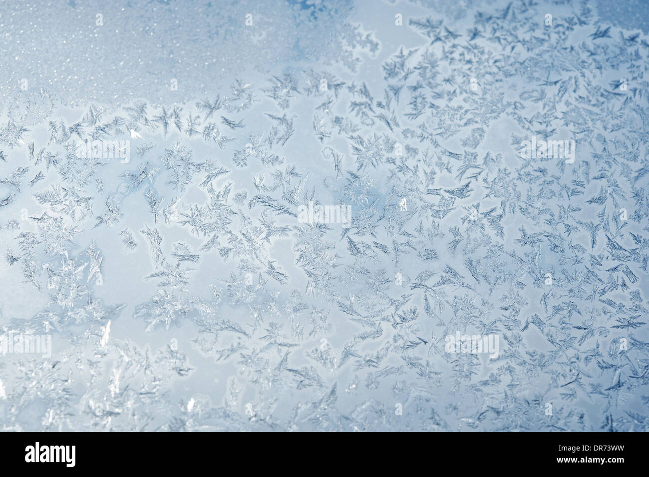 Texture window hi-res stock photography and images - Alamy