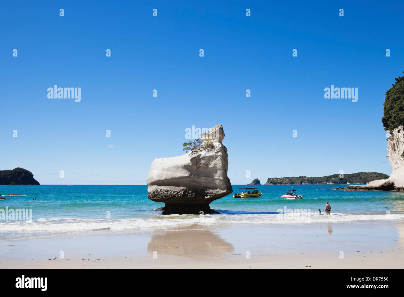 New Zealand, Coromandel Peninsula, Cathedral Cove, rock at beach Stock ...