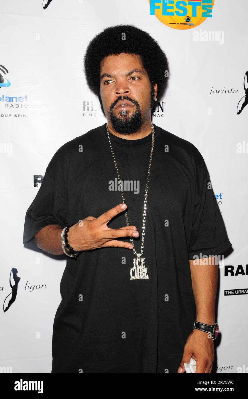 Ice Cube performs at the Radio One Festival At Klipsch Amphitheater at ...
