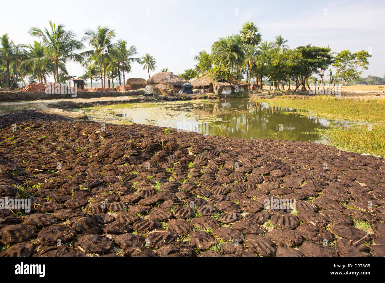 Cow dung india hi-res stock photography and images - Alamy
