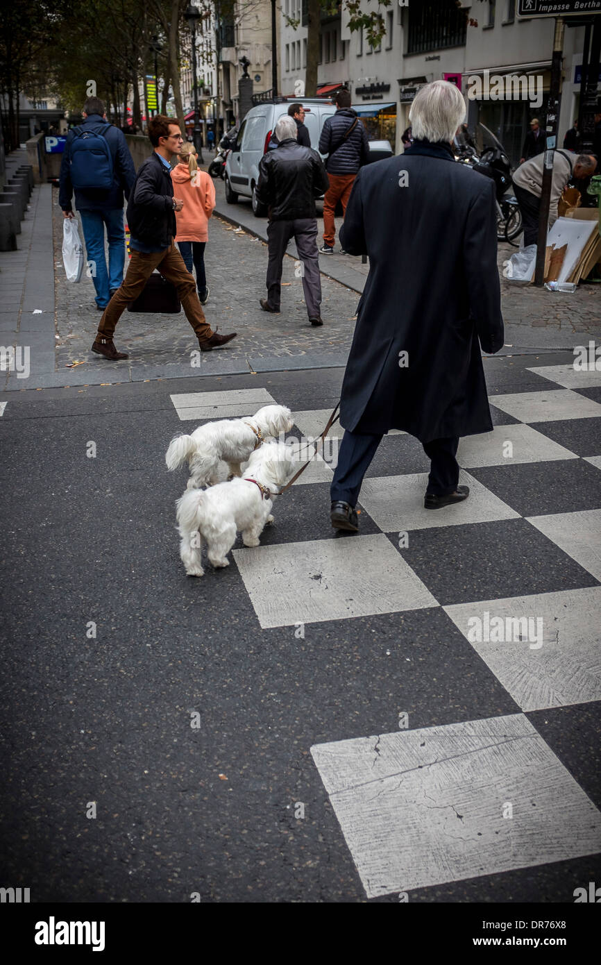 man walks his dogs over a pedestrian crossing near the pompidou centre ...
