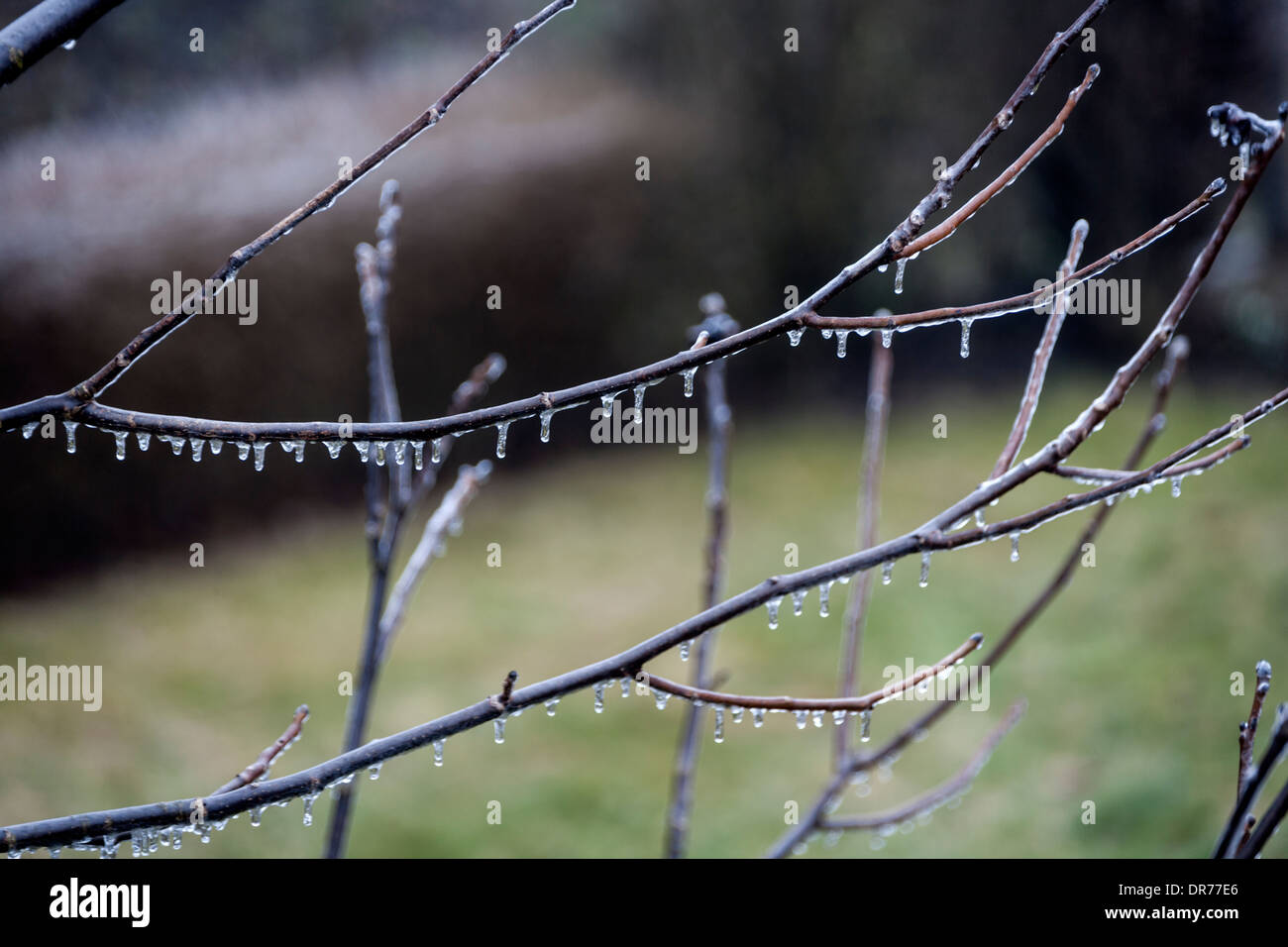 Ice kalt hi-res stock photography and images - Alamy