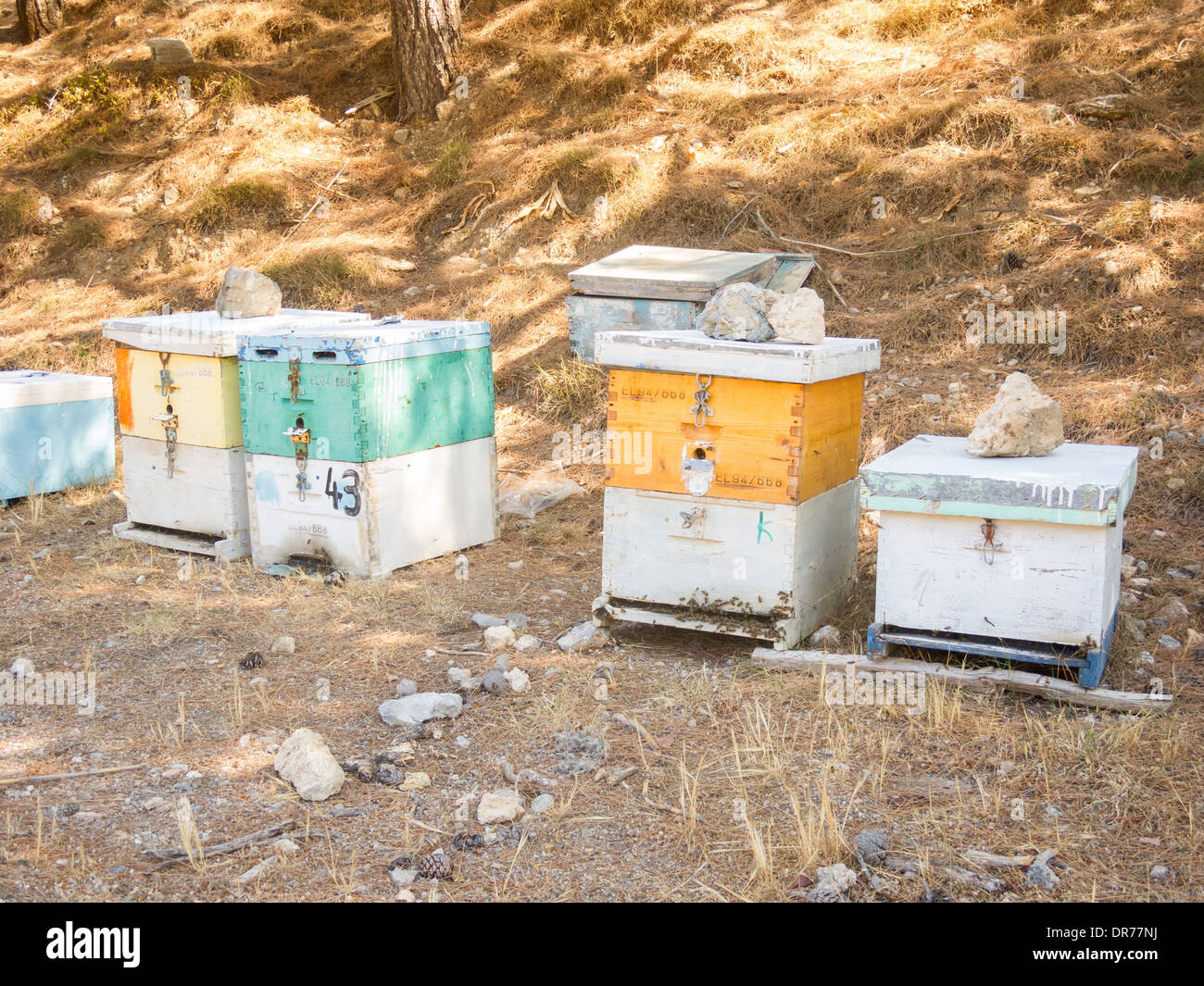 Wooden man made honey boxes in the mountains of Crete Island, Greece ...
