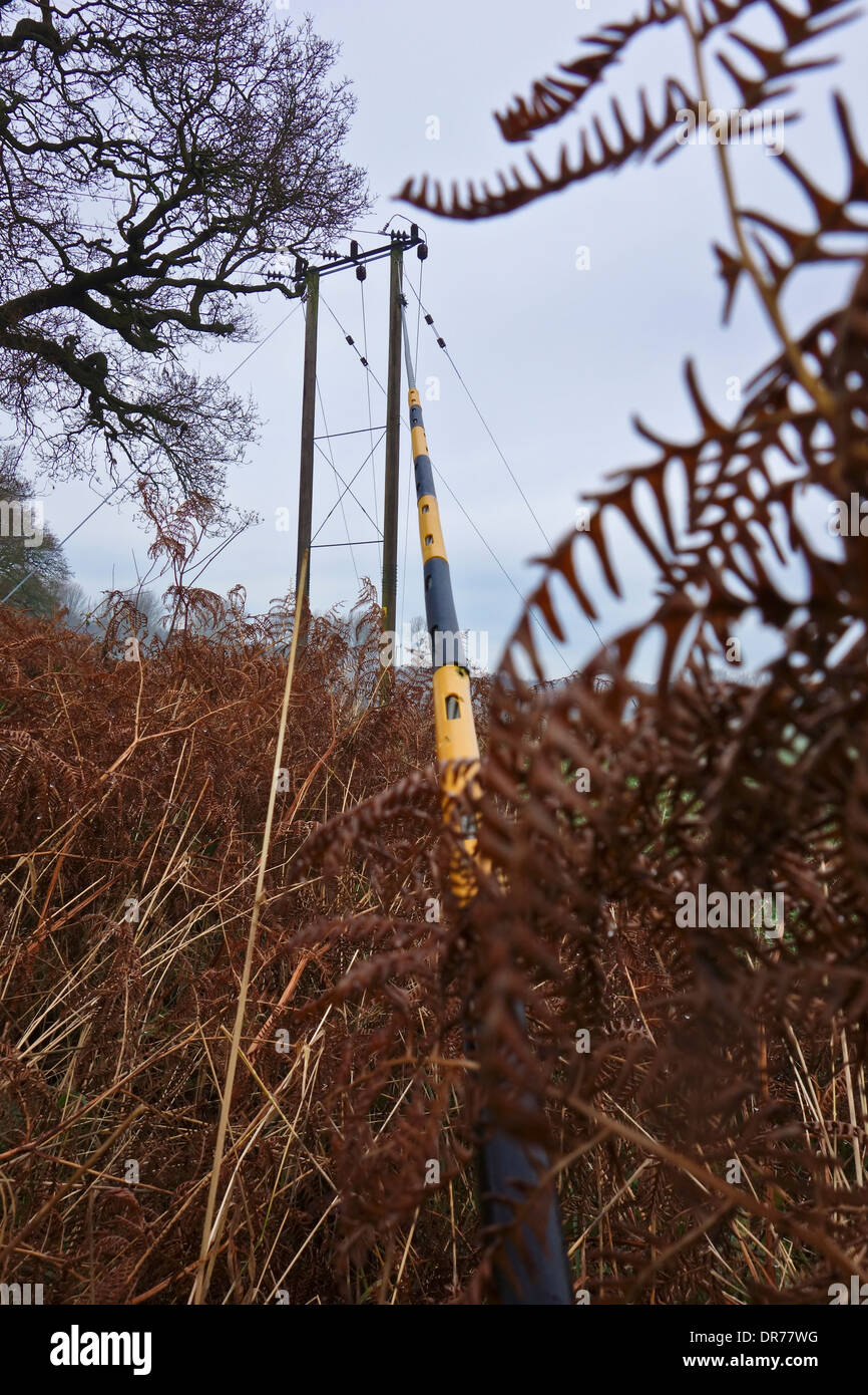 electricity power line on telegraph pole countryside rural Stock Photo ...