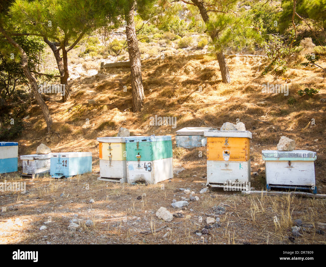 Wooden man made honey boxes in the mountains of Crete Island, Greece ...