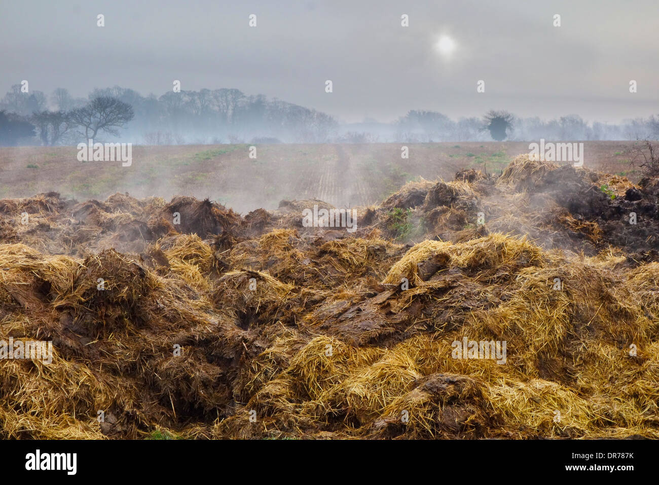 Manure dung hi-res stock photography and images - Alamy