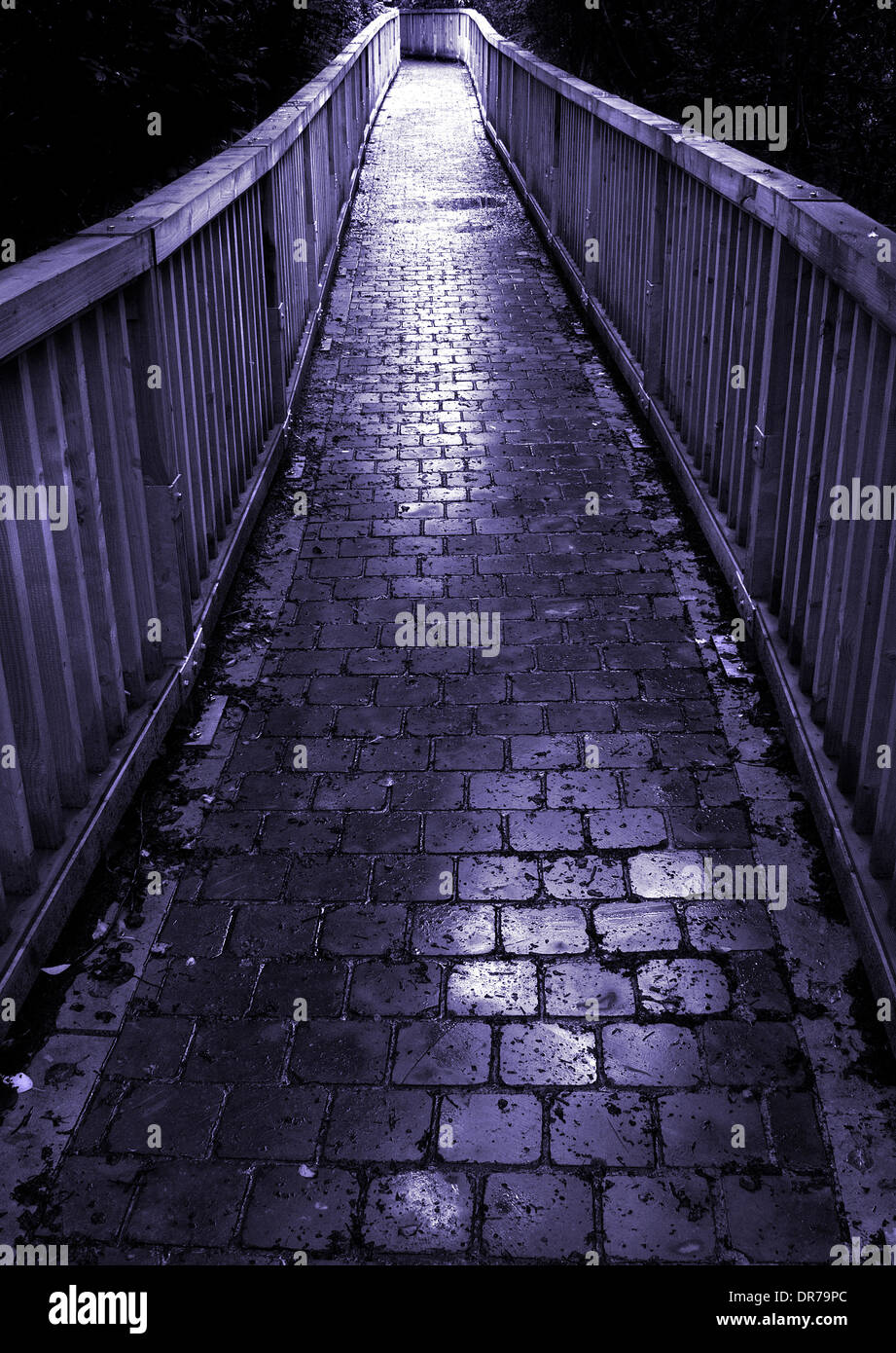 walkway though a wood Stock Photo - Alamy