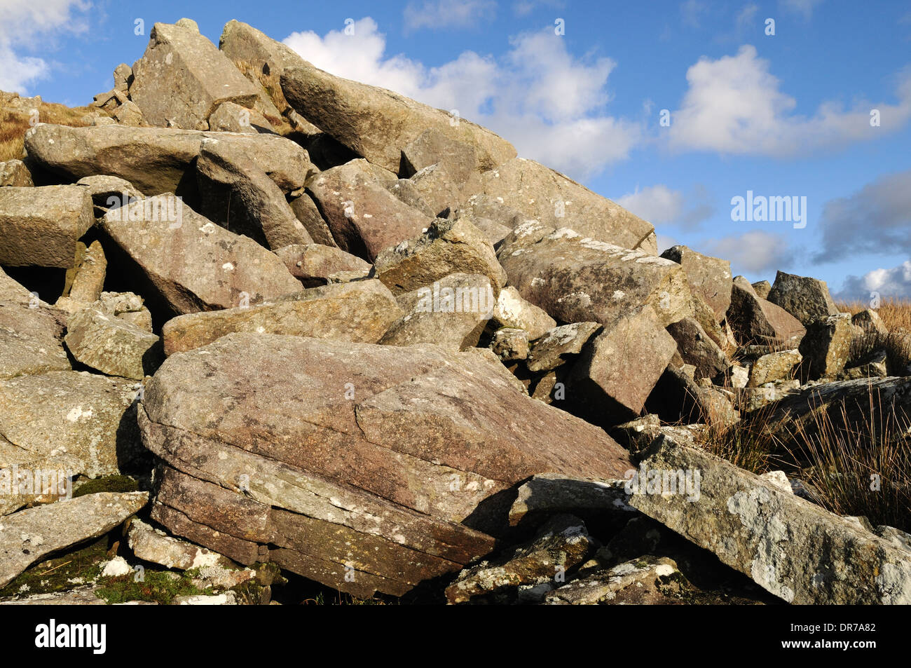 Close up of bluestones on Carn Goedog Preseli Hills now thought to be ...