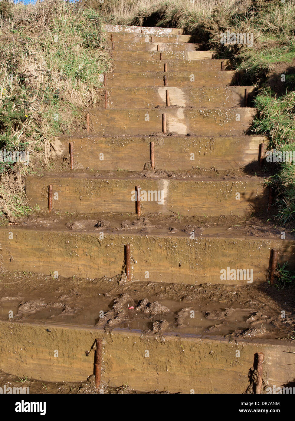 Muddy coastal hi-res stock photography and images - Alamy
