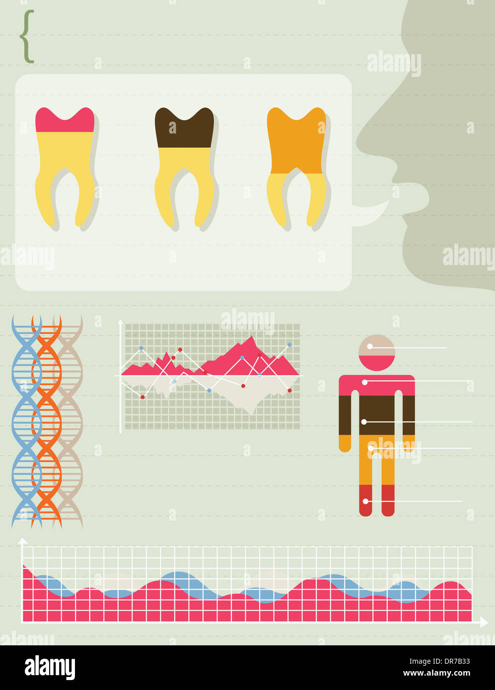 illustration info graphics of teeth Stock Photo - Alamy