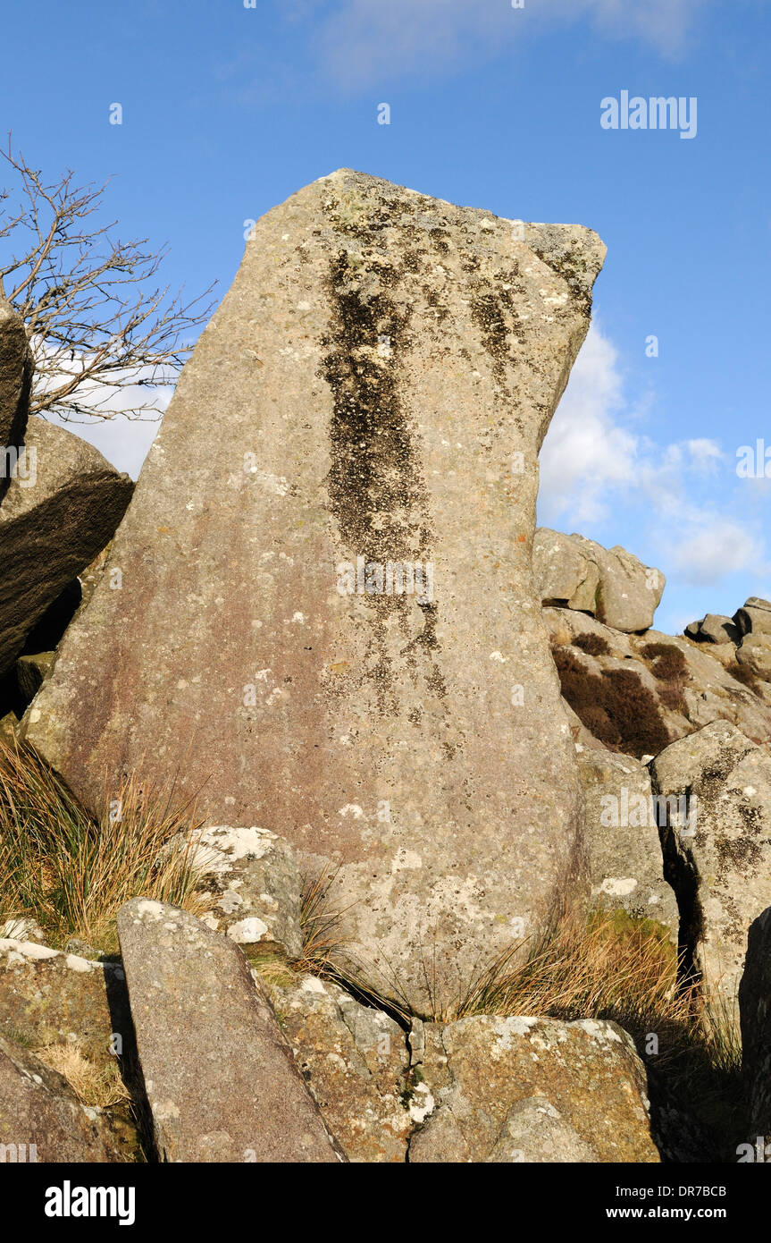 Close up of bluestones on Carn Goedog Preseli Hills now thought to be ...