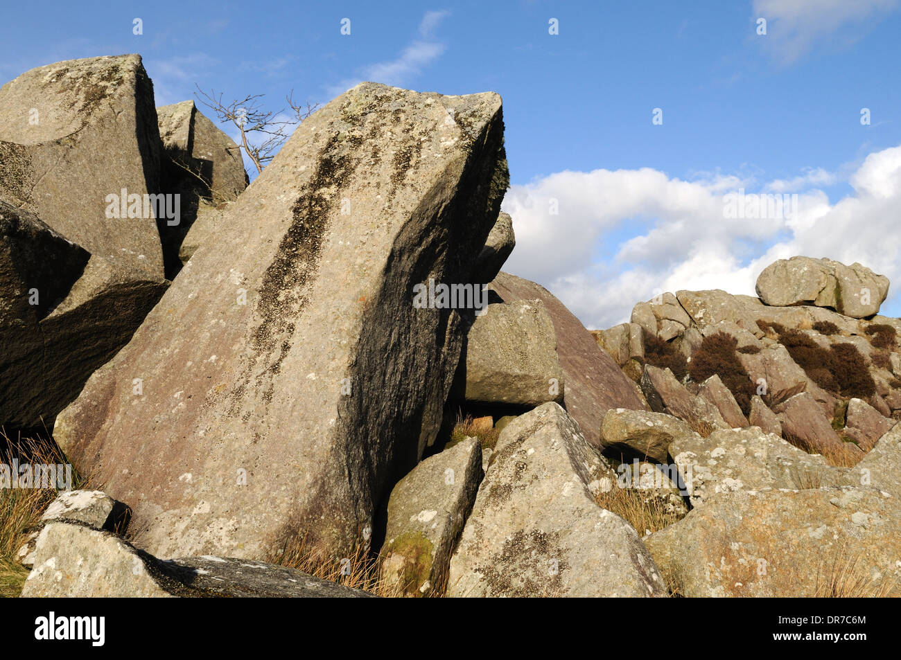 Close up of bluestones on Carn Goedog Preseli Hills now thought to be ...
