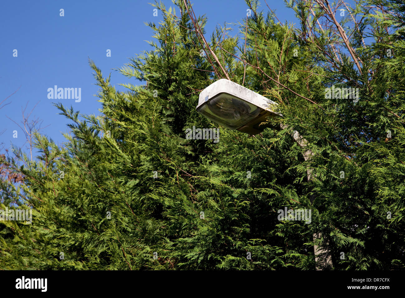 Overgrown urban spaces hi-res stock photography and images - Alamy