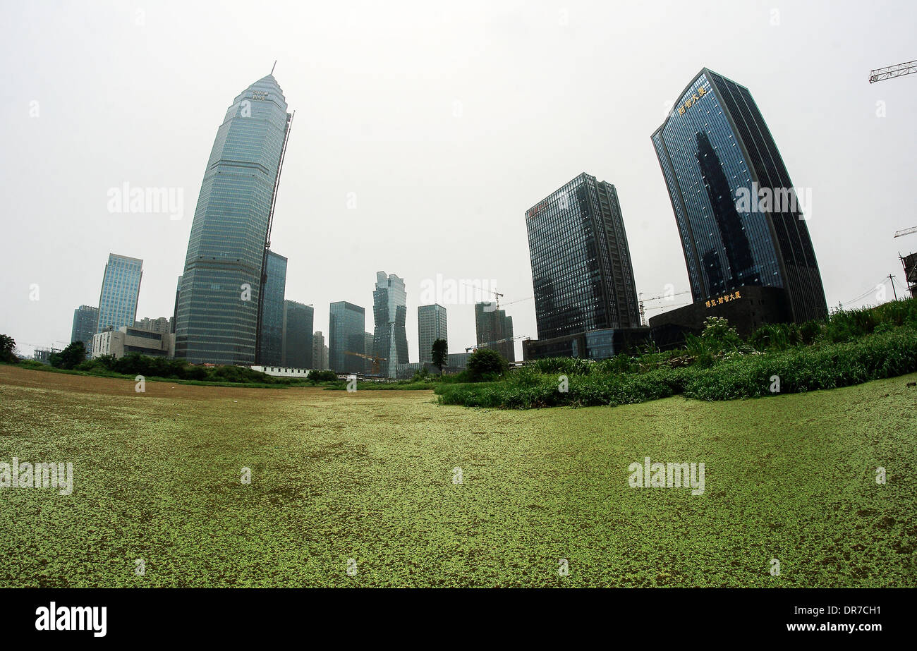 Duckweed River A river in China is entirely covered in duckweed next to ...
