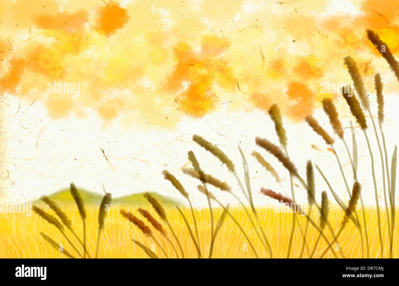 illustration of yellow field in autumn Stock Photo - Alamy