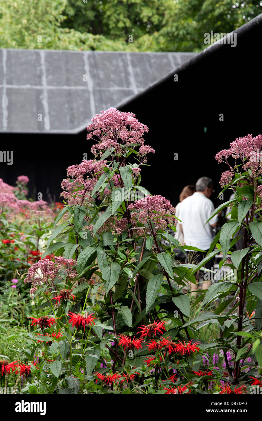 Serpentine Pavilion 2011, Hyde Park, London. Flower border, Planting by ...