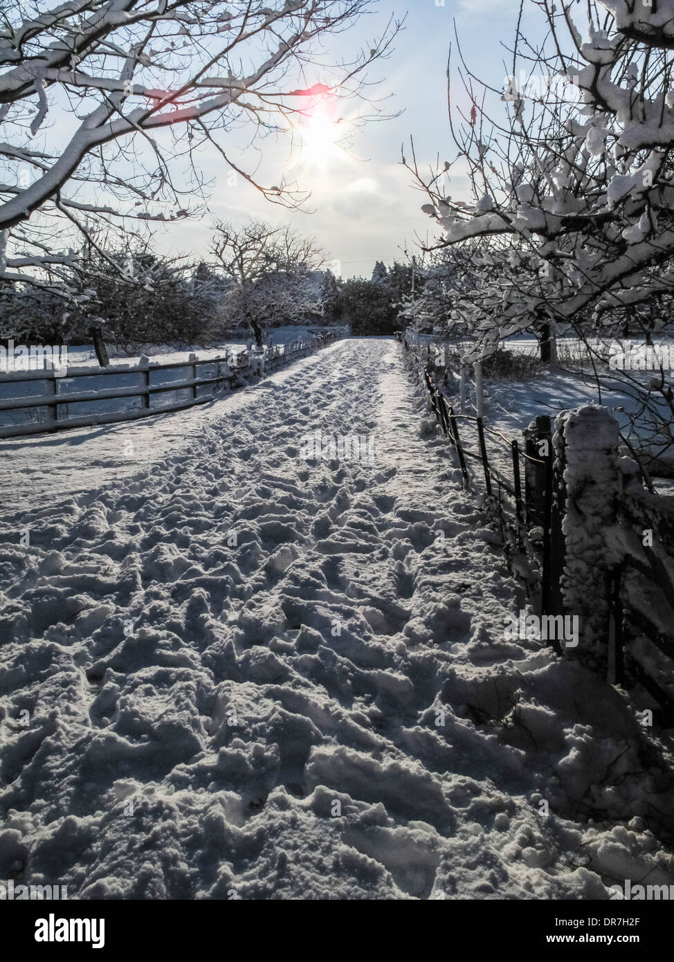 Snow covered Kent country landscape in UK Stock Photo - Alamy