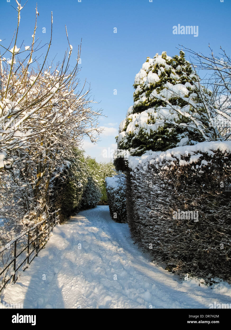 Snow covered Kent country landscape in UK Stock Photo - Alamy